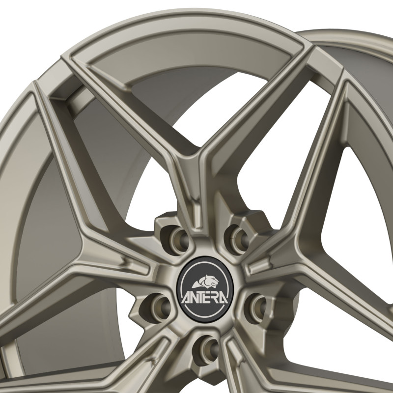 Antera A107 satin champagne | velonity.com