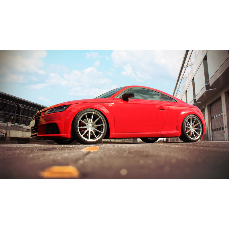 BARRACUDA Project 2.0 silver brushed/ undercut color trim rot ...