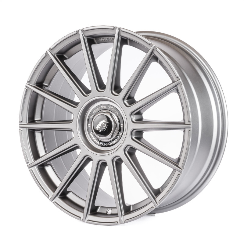 Damina Performance DM09 grey matt | felgenshop.de