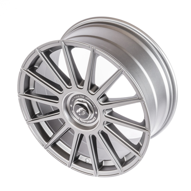 Damina Performance Dm09 Grey Matt Felgenshop De