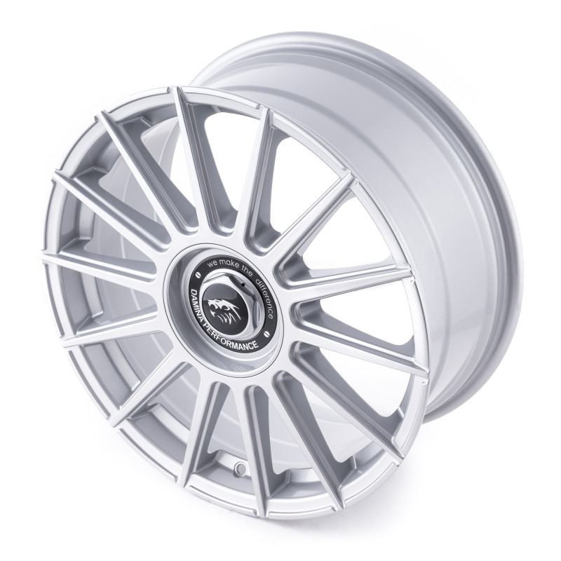 Damina Performance DM09 silver painted | felgenshop.de